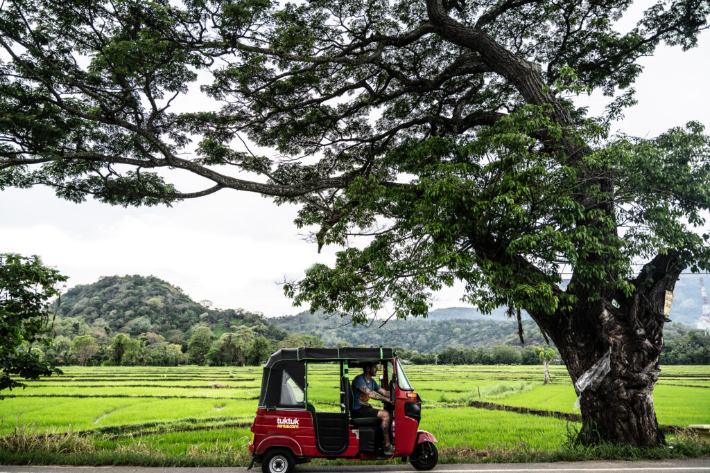 Rent a Tuktuk in Polonnaruwa, Sri Lanka! - tuktukrental.com - Tuktuk Rental